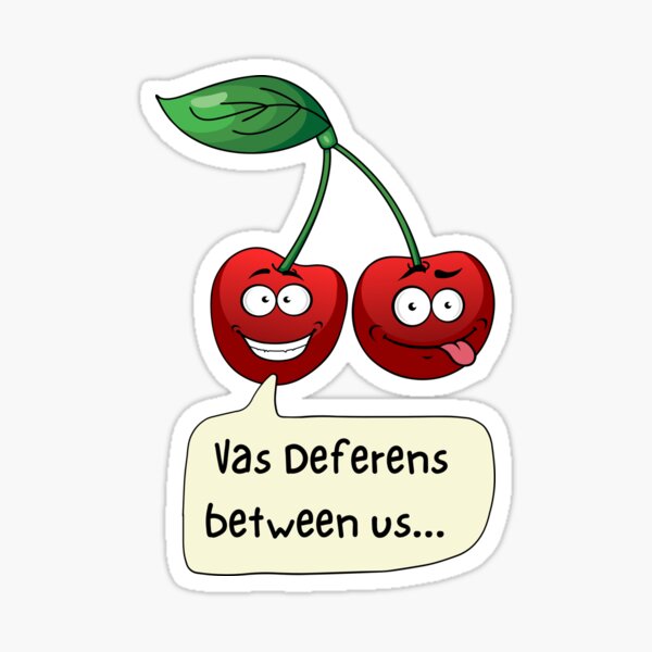 "Vas Deferens | Urology Puns | Funny" Sticker for Sale by HappyHowler ...