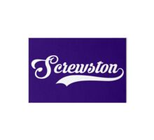 "Screwston" Stickers by A O | Redbubble