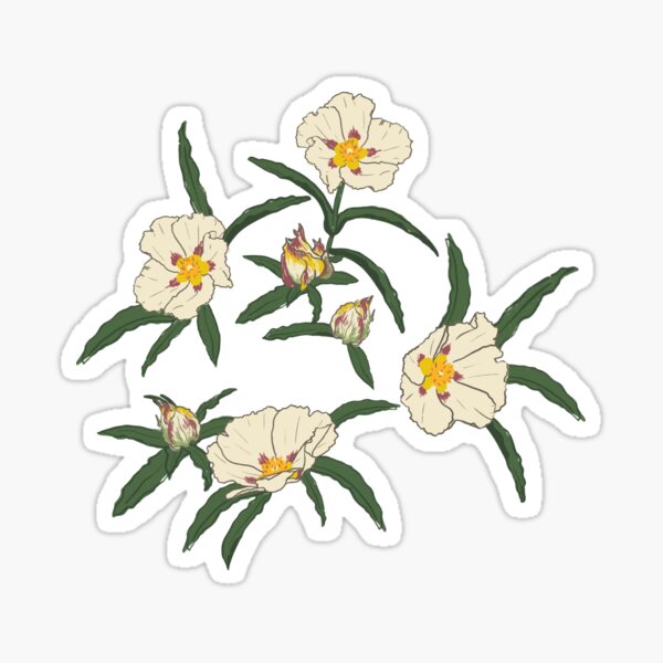 "Rock rose seamless pattern : Pink" Sticker for Sale by Maygetsu ...