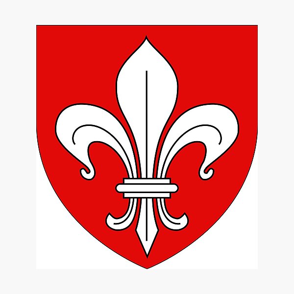 Lámina fotográfica «Escudo de armas de Lille, Francia» de Tonbbo ...