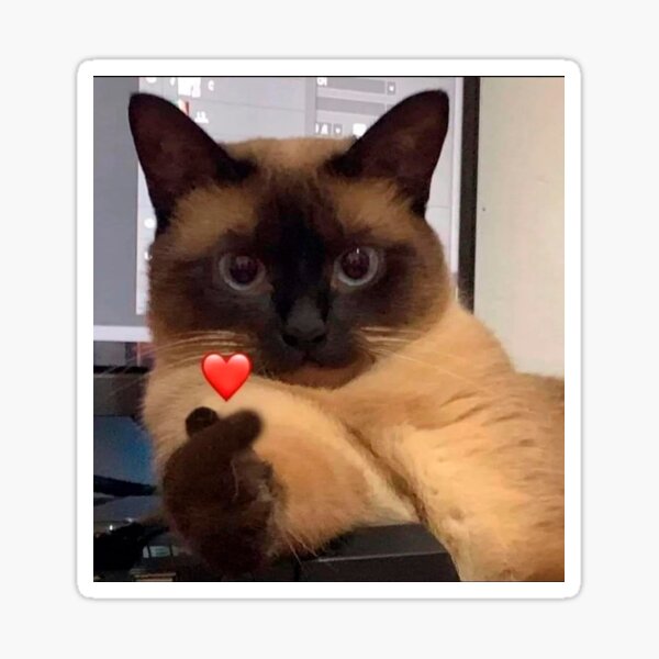 "heart cat cute funny meme" Sticker for Sale by michaalec | Redbubble
