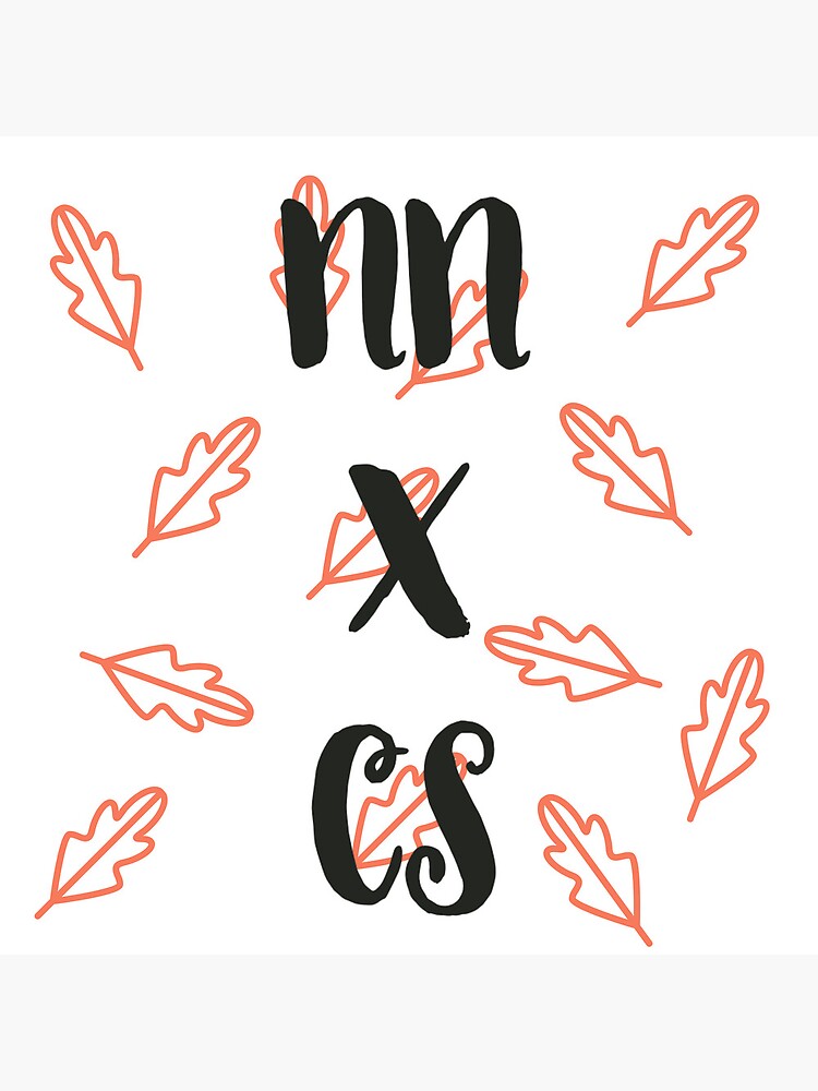 "Nick Nelson X Charlie Spring (Transparent)" Poster for Sale by ...