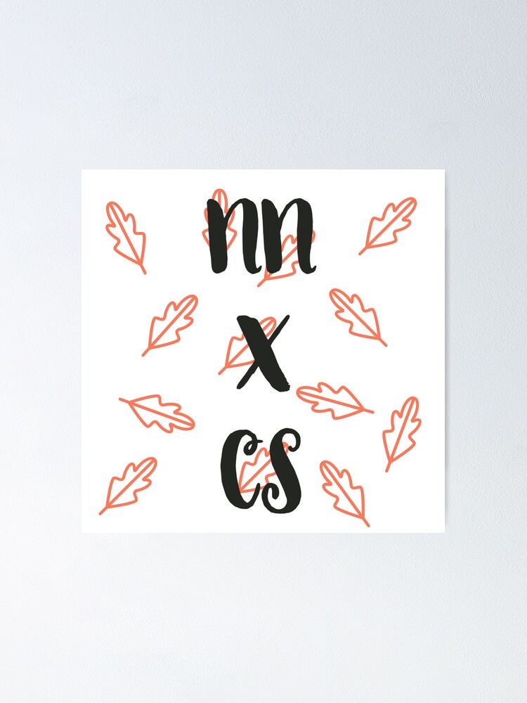 "Nick Nelson X Charlie Spring (Transparent)" Poster for Sale by ...