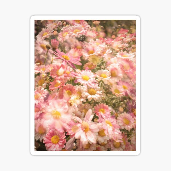 "Yesterday" Sticker for Sale by lmarsdesign | Redbubble