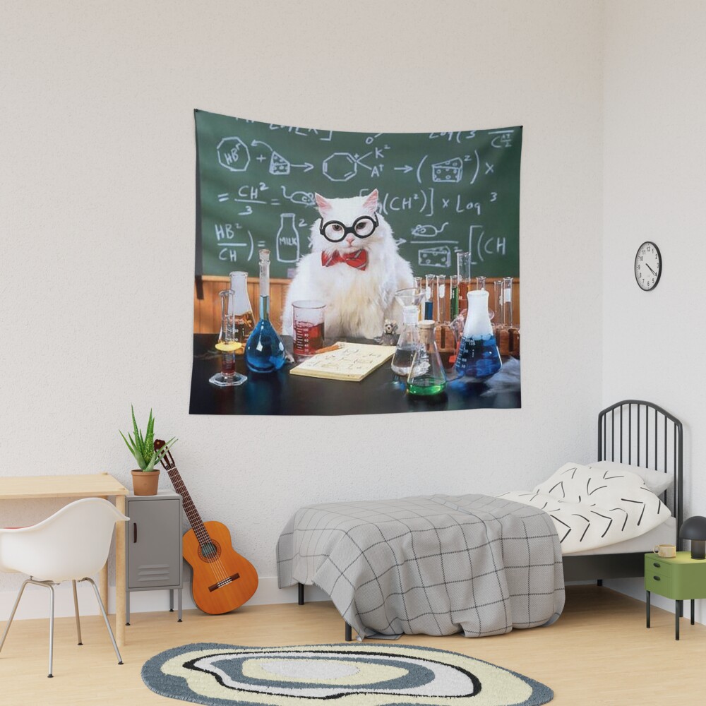"Chemistry Cat" Poster for Sale by Meme Economy | Redbubble