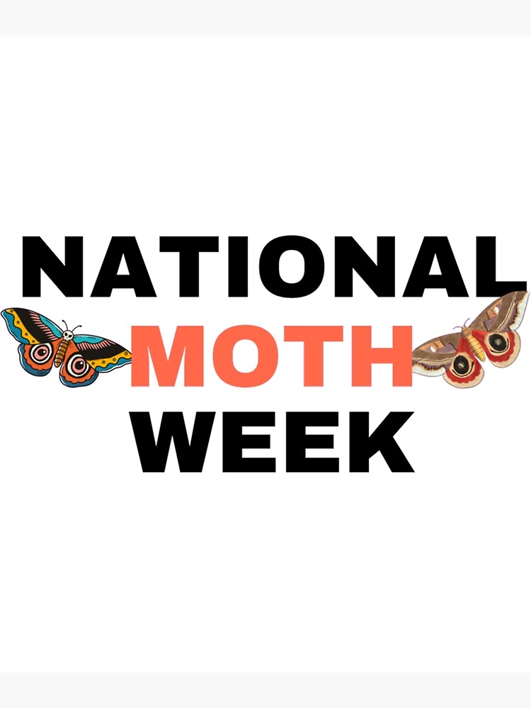 "National moth week. " Poster for Sale by LilliBelleB | Redbubble