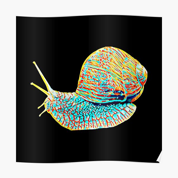 "Psychedelic Neon Funky Snail Art 7" Poster for Sale by Cawaiico ...