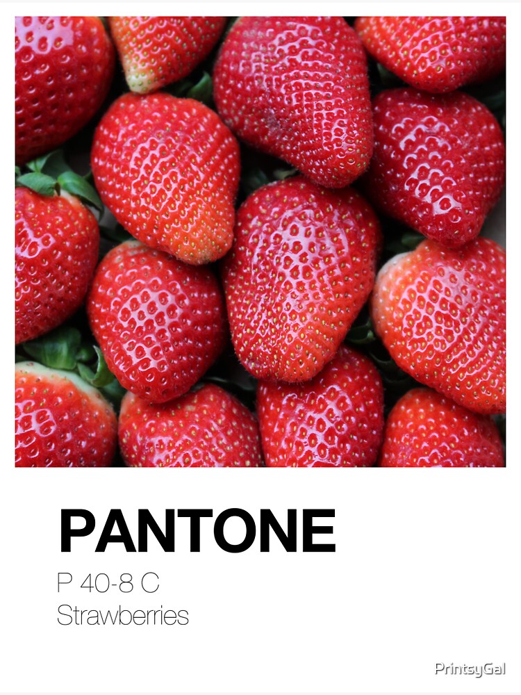 "Pantone color swatch red fresh strawberries" Sticker for Sale by ...