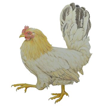 "Serious Chicken" Poster for Sale by MoiraEngel | Redbubble
