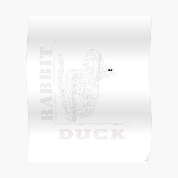 "Rabbit Duck Illusion - Funny Rabbit Duck - Wittgenstein Rabbit Duck ...