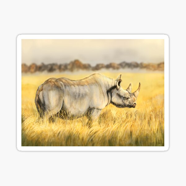 "White Rhinoceros" Sticker for Sale by alandodrawing | Redbubble
