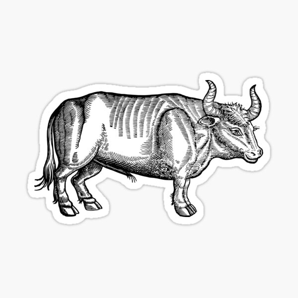 "Ox" Sticker for Sale by hrcdesign | Redbubble