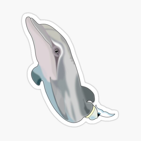 "Dolphin with prosthetic tail fin" Sticker for Sale by Grace-rl16 ...