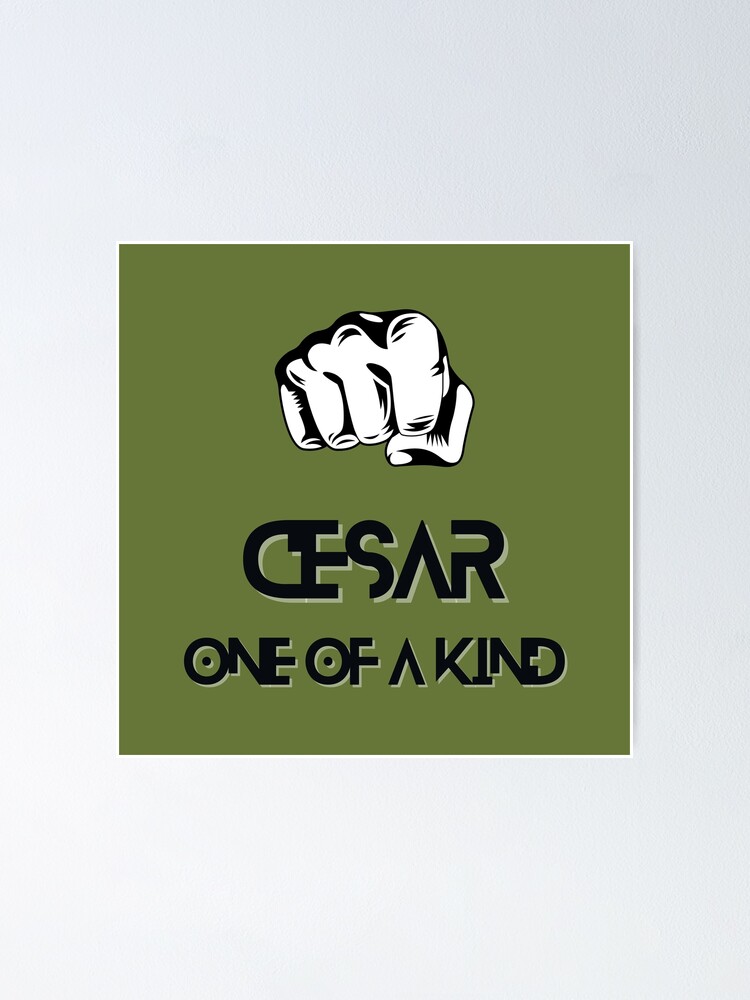 "Cesar Name One of a Kind Birthday Anniversary, Appreciation Gift ...