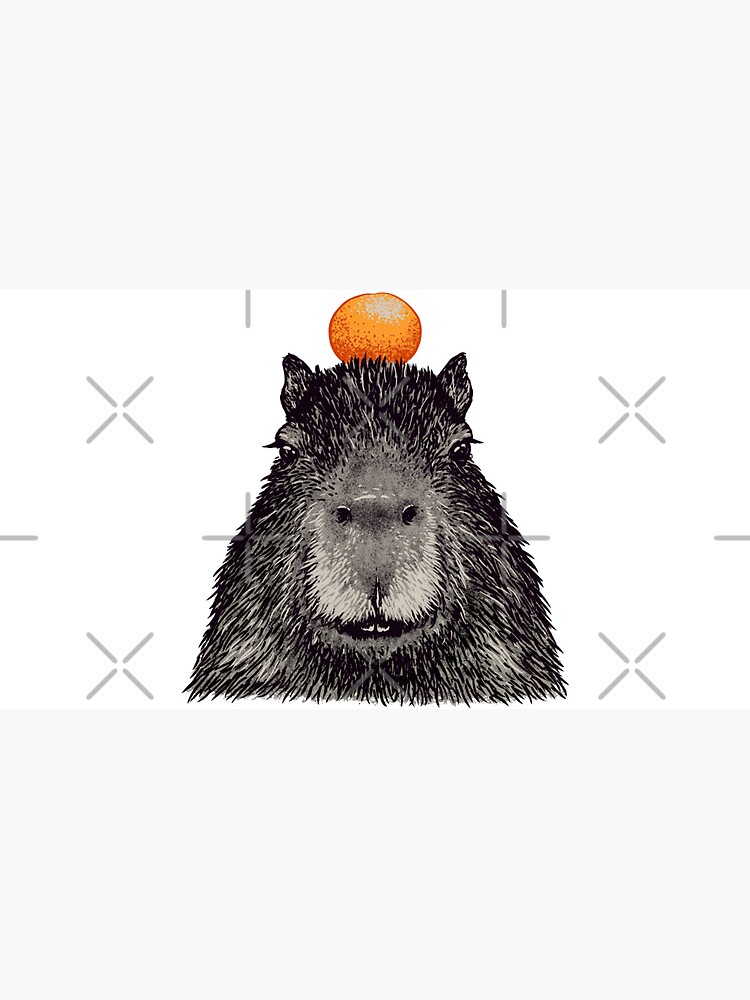"Capybara Orange | Capy Yuzu | Capybara with Orange on Head | His Name ...