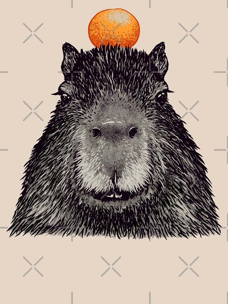 Capybara Orange | Capy Yuzu | Capybara With Orange On Head | His Name ...