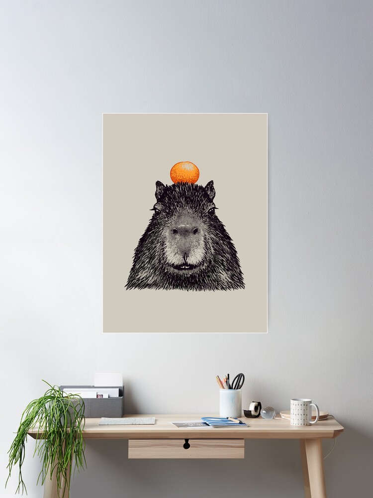 "Capybara Orange | Capy Yuzu | Capybara with Orange on Head | His Name ...