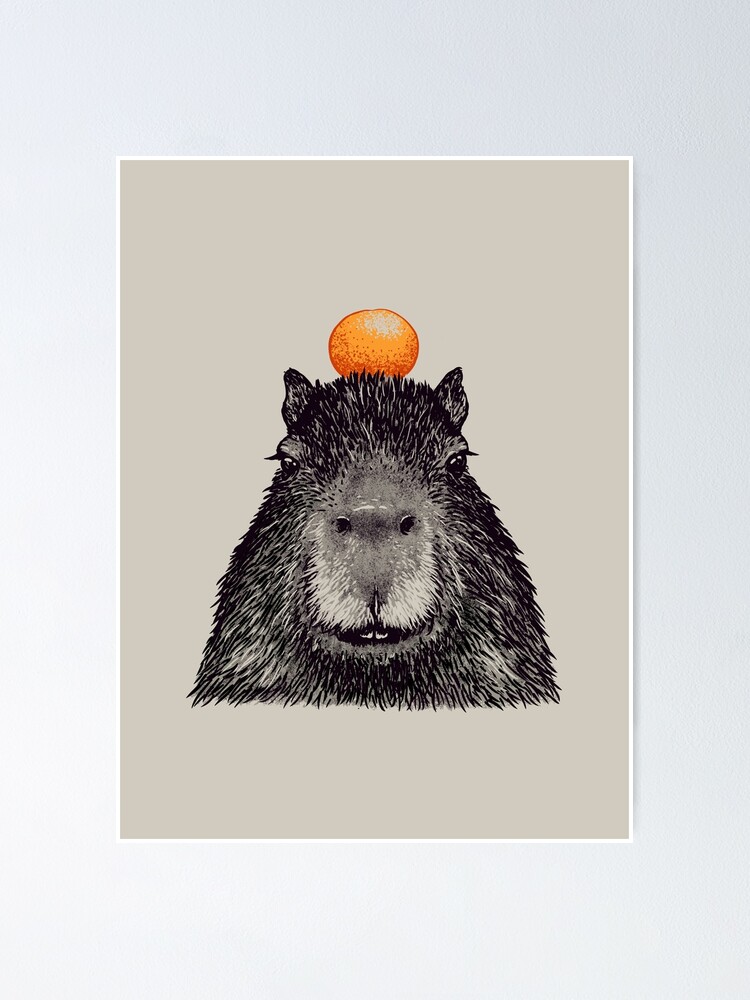 "Capybara Orange | Capy Yuzu | Capybara with Orange on Head | His Name ...