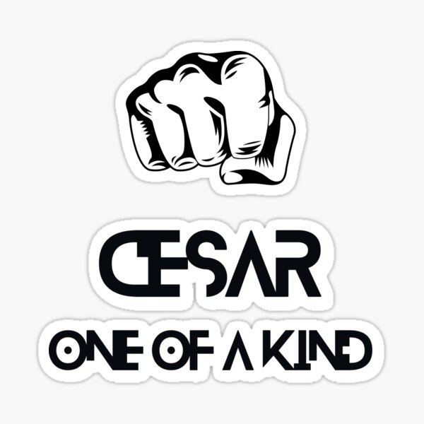 "Cesar Name One of a Kind Birthday Anniversary, Appreciation Gift ...