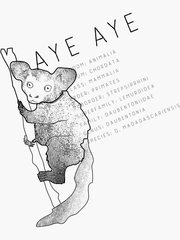 "Aye Aye Animal" Sticker for Sale by ScarlettAlex | Redbubble