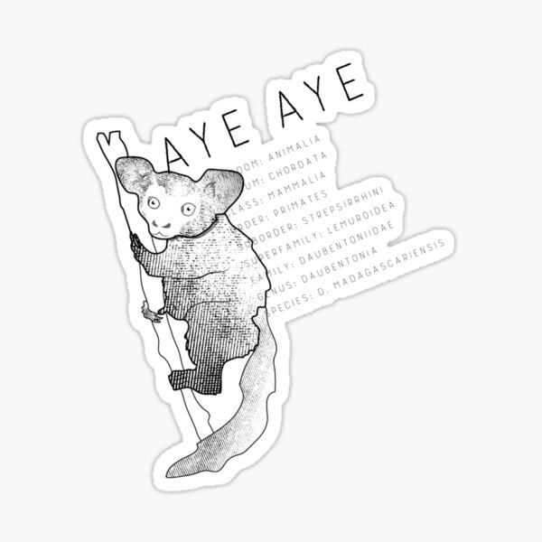 "Aye Aye Animal" Sticker for Sale by ScarlettAlex | Redbubble
