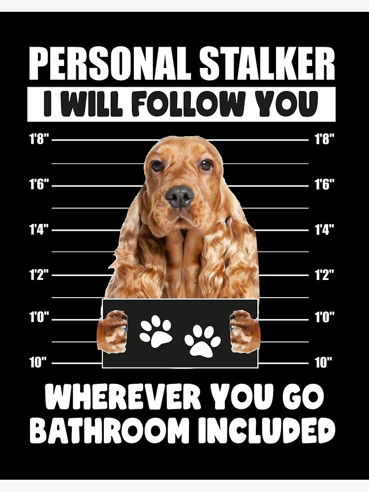 Cocker Spaniel Sayings