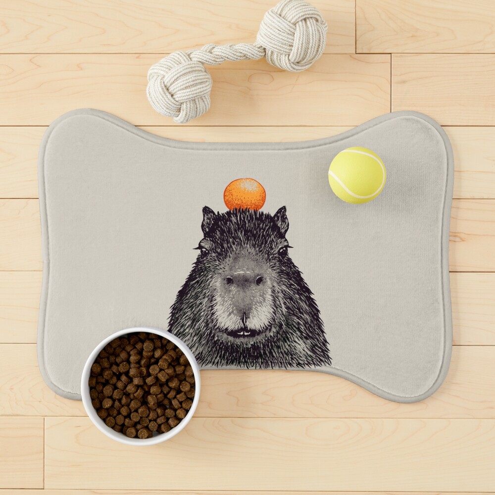 "Capybara Orange | Capy Yuzu | Capybara with Orange on Head | His Name ...