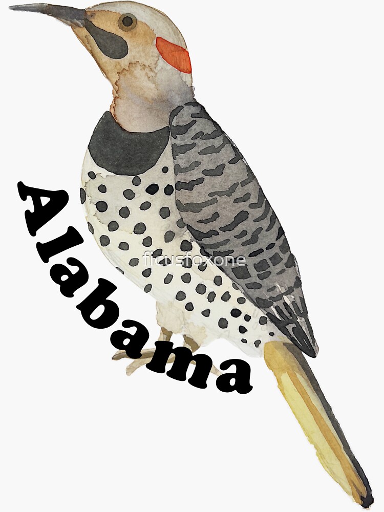 Northern Flicker Yellowhammer Alabama State Bird Sticker For Sale By Ficusfoxone Redbubble