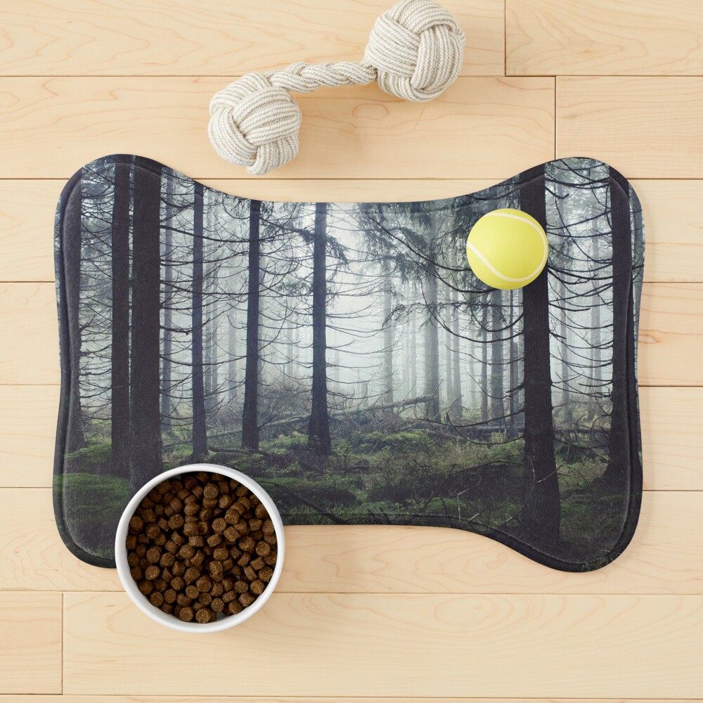 "Through The Trees // Nightwalker In Ghostwood Romantasy Foggy Misty ...