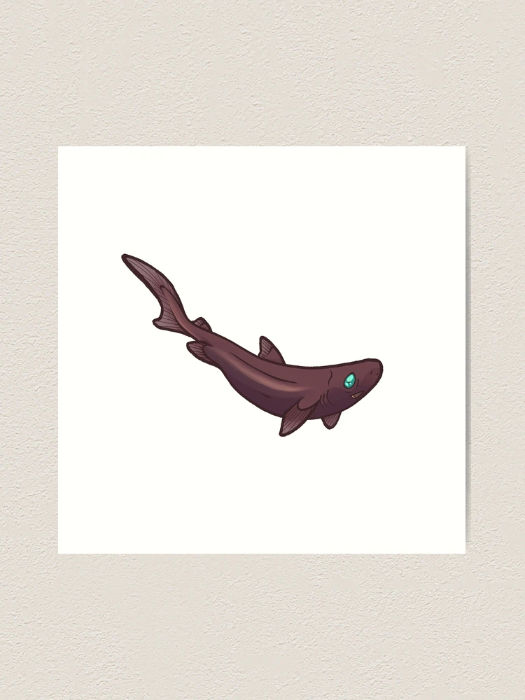 Dwarf Lantern Shark