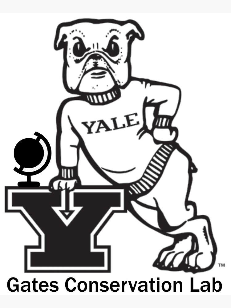 "Yale Lab" Sticker for Sale by brygates | Redbubble