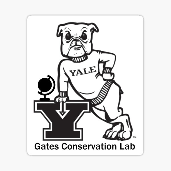 "Yale Lab" Sticker for Sale by brygates | Redbubble