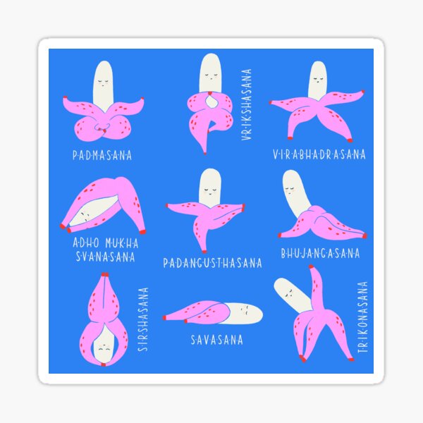 "Bananas Asanas | Fruit Yoga | Pink and Blue" Sticker for Sale by ...
