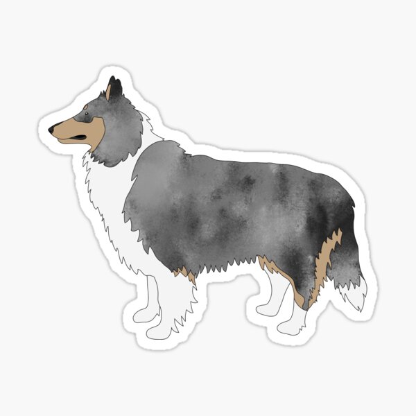"Blue Merle Rough Collie" Sticker for Sale by AnnaMakesArt | Redbubble
