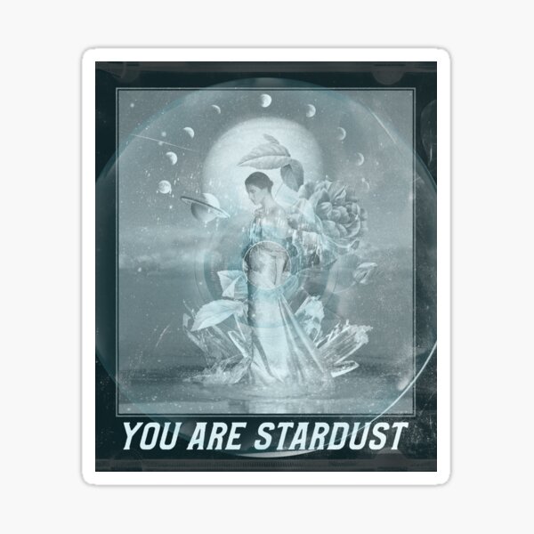 " You Are Stardust" Sticker for Sale by KathteeDesign | Redbubble