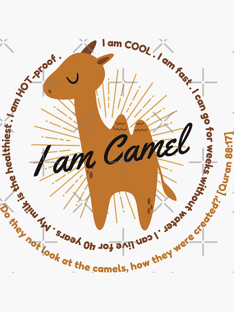 "Animals I Am Cool Camel " Sticker for Sale by isabox | Redbubble