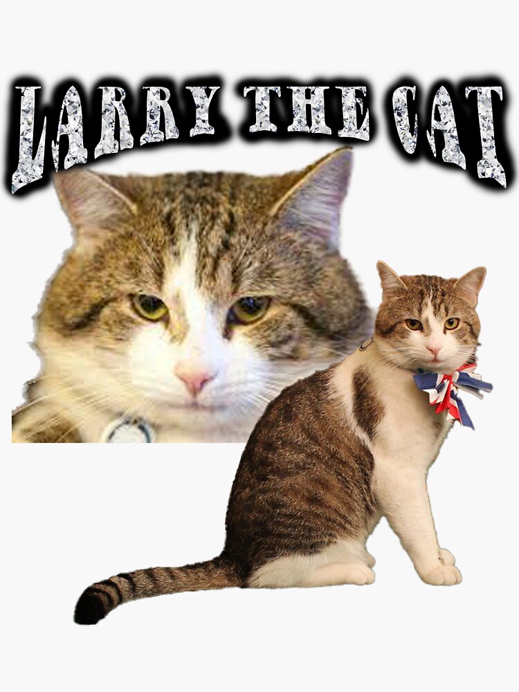 "Larry The Cat Rap Tee" Sticker for Sale by AndyDrywall | Redbubble