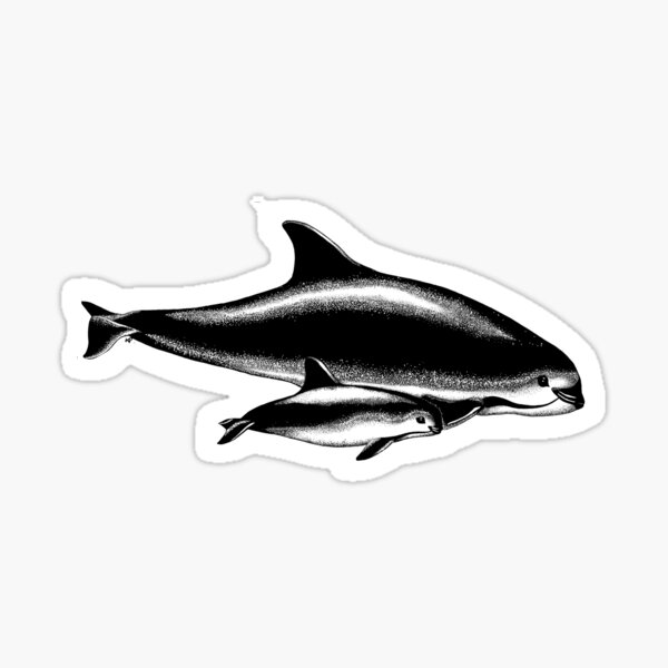 "Save The Vaquita" Sticker for Sale by ArtsyWhales | Redbubble