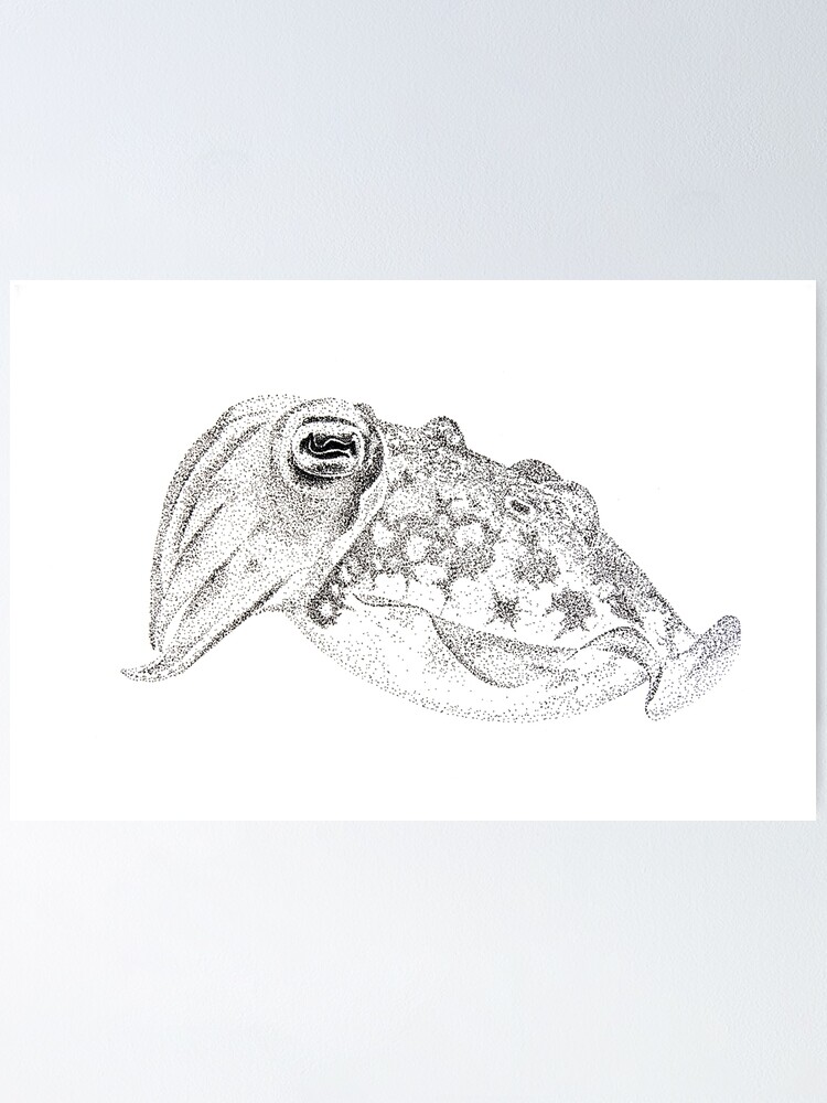 "Red cuttlefish ink drawing - Sepia mestus" Poster by jwturnbull ...