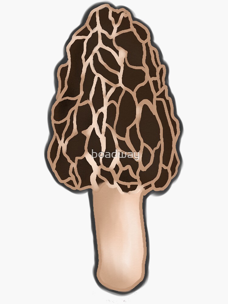 "Moral" Sticker for Sale by boadway | Redbubble