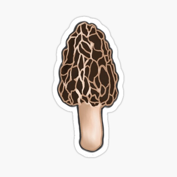 "Moral" Sticker for Sale by boadway | Redbubble