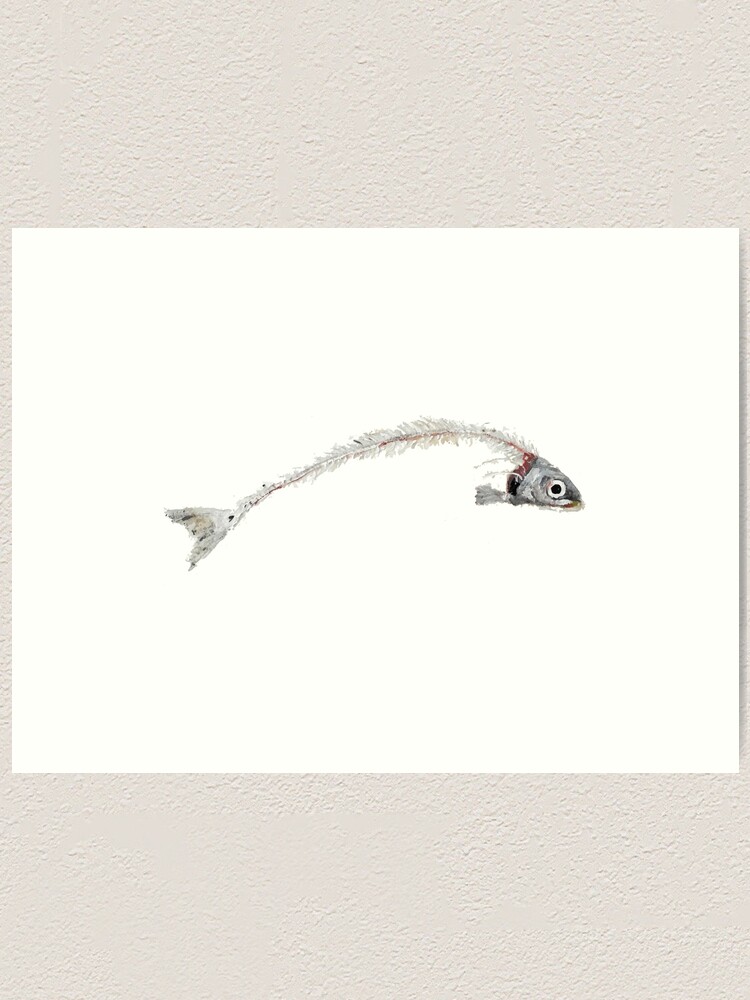 "Anchovy fish bones" Art Print for Sale by bellamujer | Redbubble