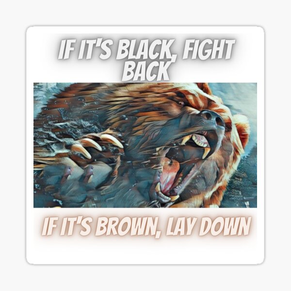 Angry Bear Sticker For Sale By Islandchoice Redbubble