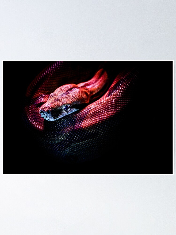 "Red x Skin x Head " Poster for Sale by HouseOvN | Redbubble