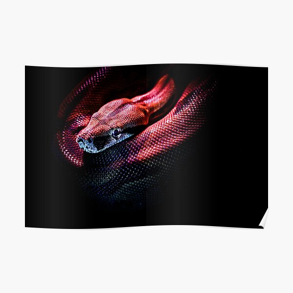 "Red x Skin x Head " Poster for Sale by HouseOvN | Redbubble