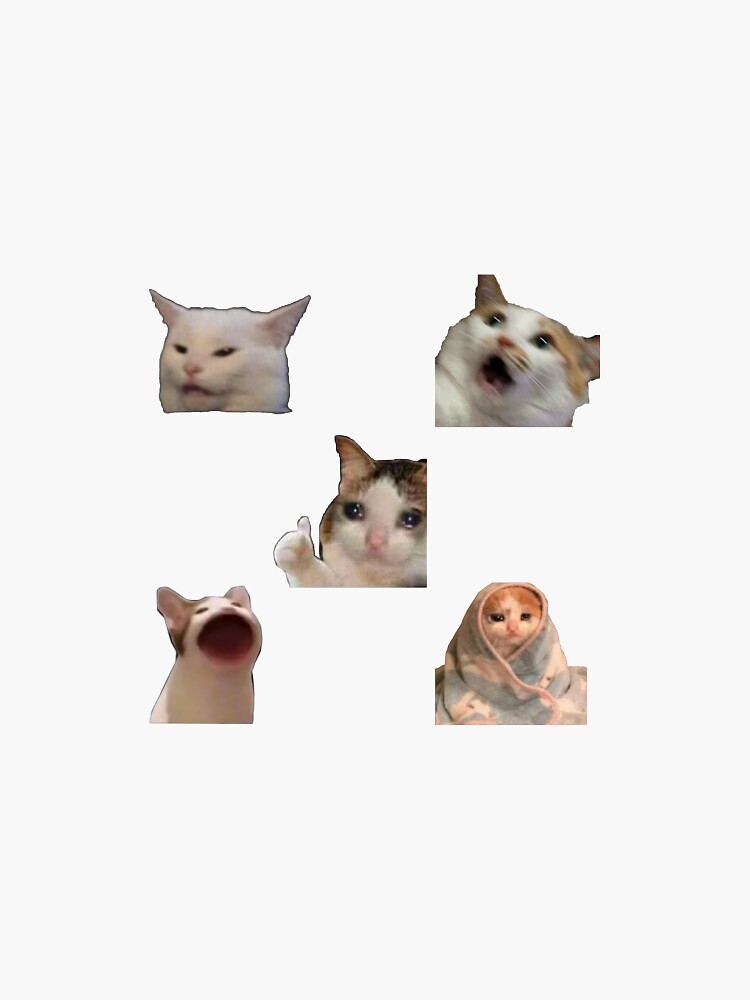 "Cat meme Stickers" Sticker for Sale by CypherKoi | Redbubble