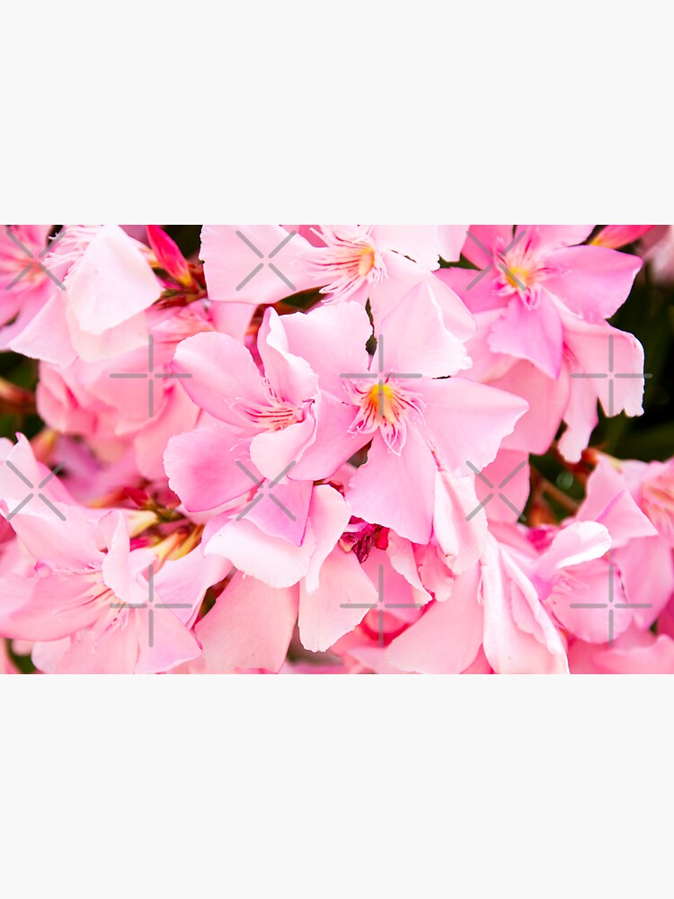 "Pink Issue " Sticker for Sale by AlexaSash | Redbubble