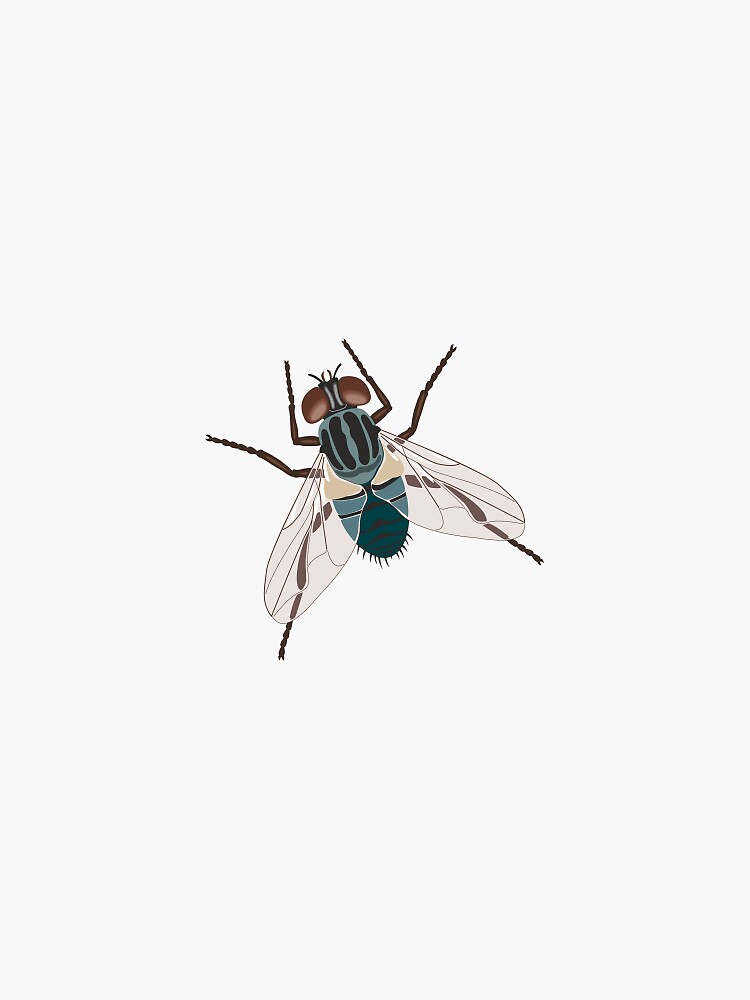 "fly insect" Sticker for Sale by Seryozha-Khuzin | Redbubble