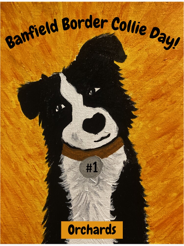 "Border Collie Day Orchards Essential" Sticker for Sale by LynnePadua ...