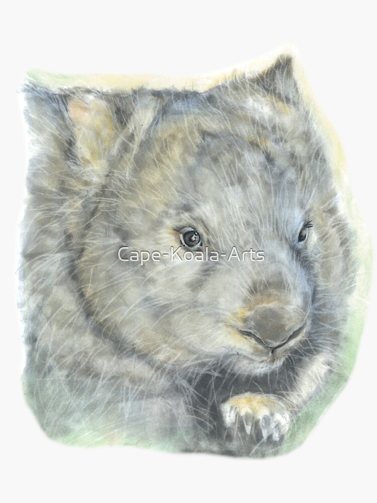 "Wombat drawing" Sticker for Sale by Cape-Koala-Arts | Redbubble